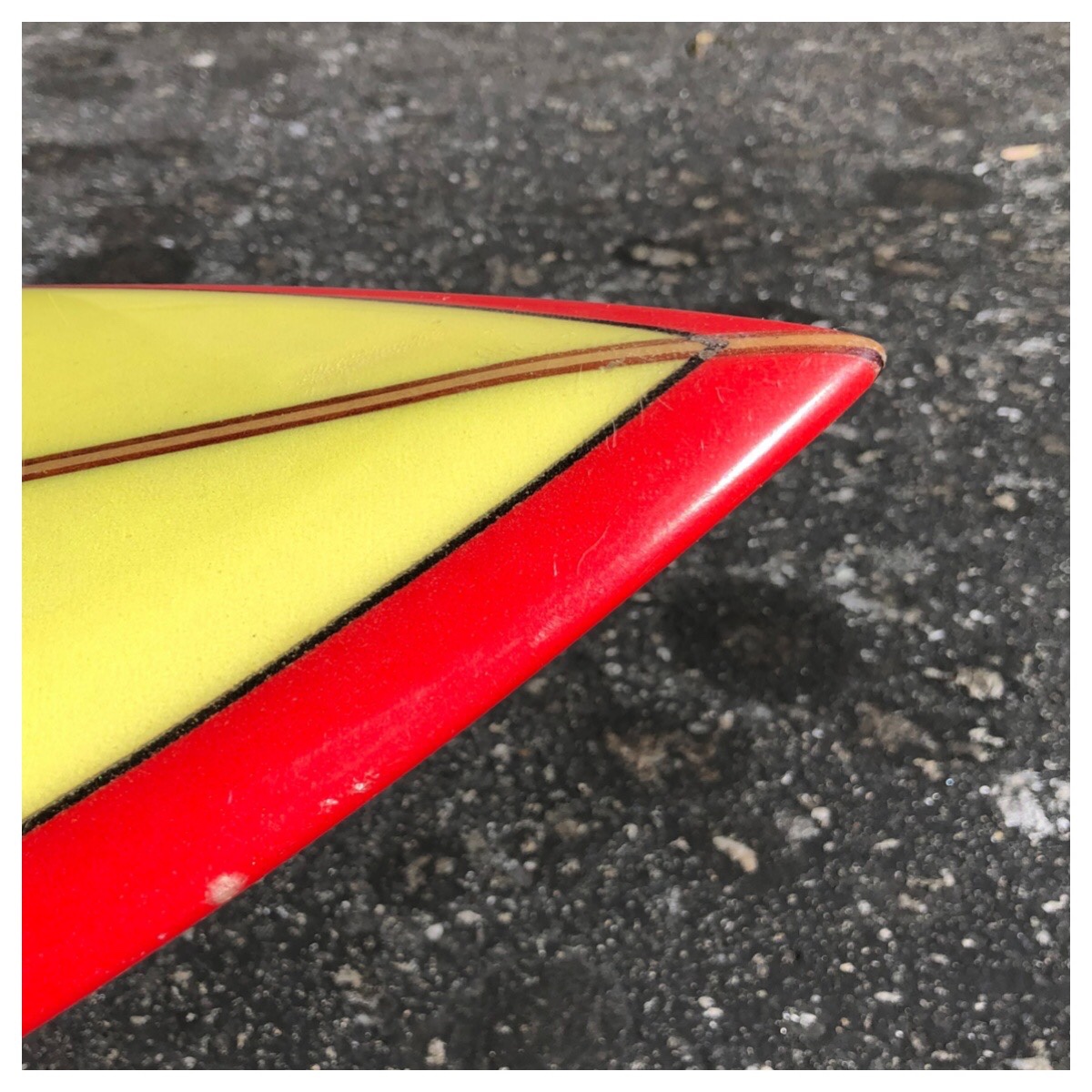 Surfy Surfy – Page 6 – Enter the Surfy’verse…