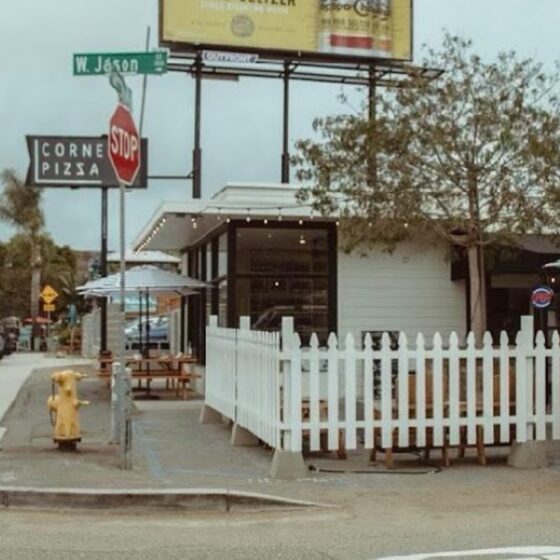 Surfy Surfy – Page 3 – Enter the Surfy’verse…