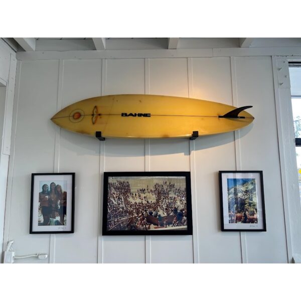 Surfy Surfy – Page 3 – Enter the Surfy’verse…