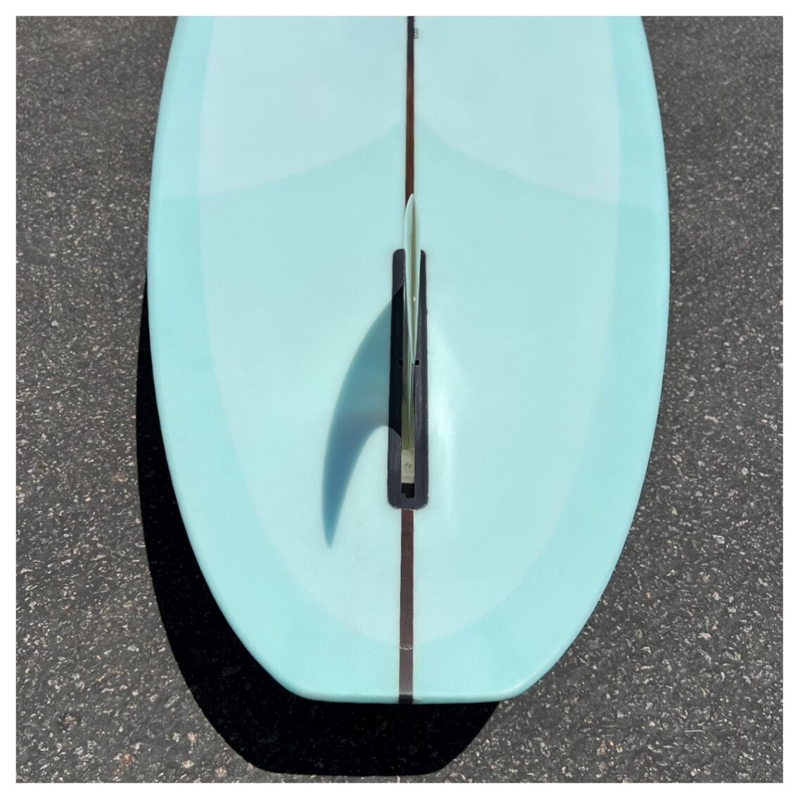 Surfy Surfy – Enter the Surfy’verse…